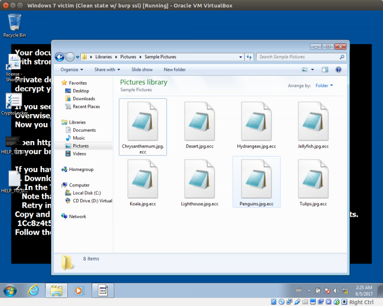 Set up your own malware analysis lab with VirtualBox, INetSim and Burp - Christophe Tafani-Dereeper